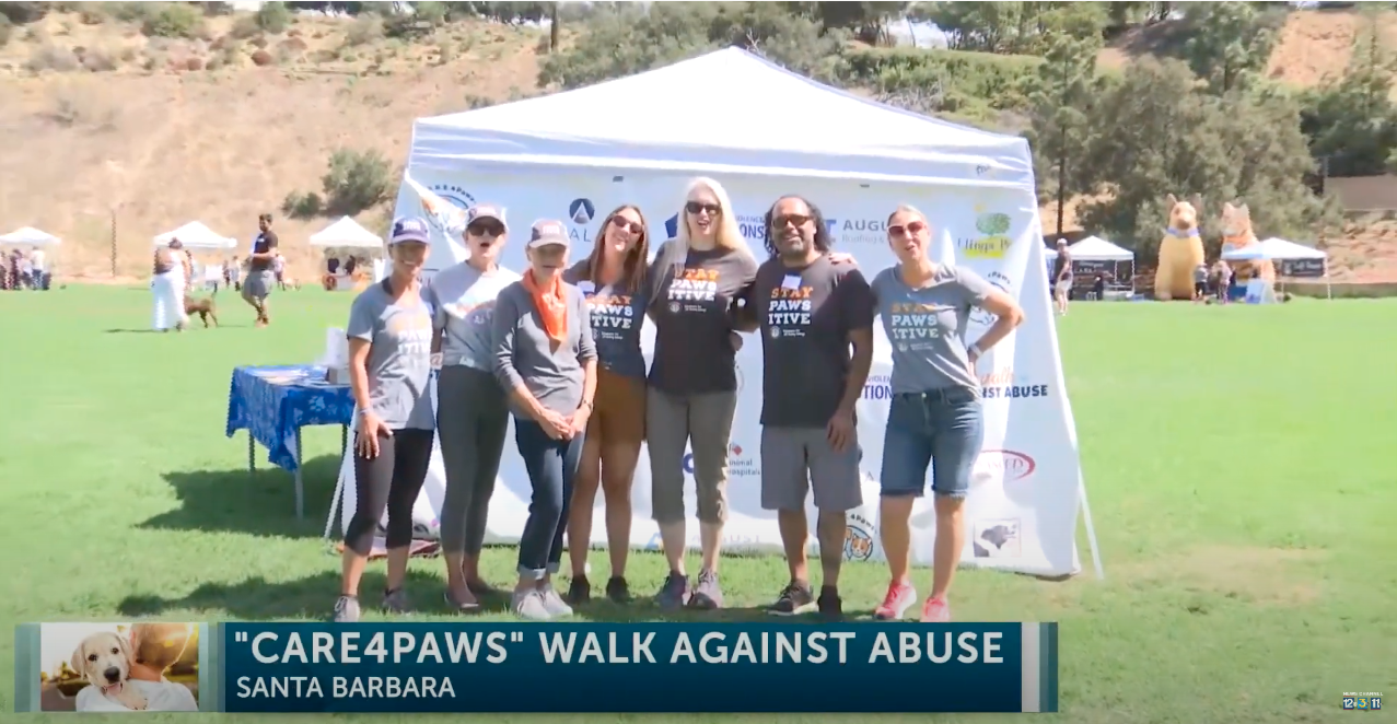 Animal lovers stand up to animal cruelty and domestic violence in first ...
