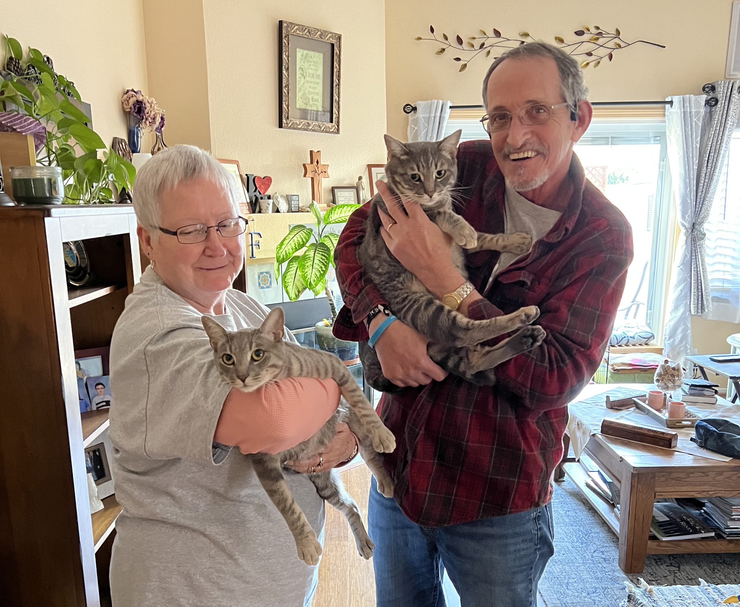 Double kitty kudos - C.A.R.E.4Paws