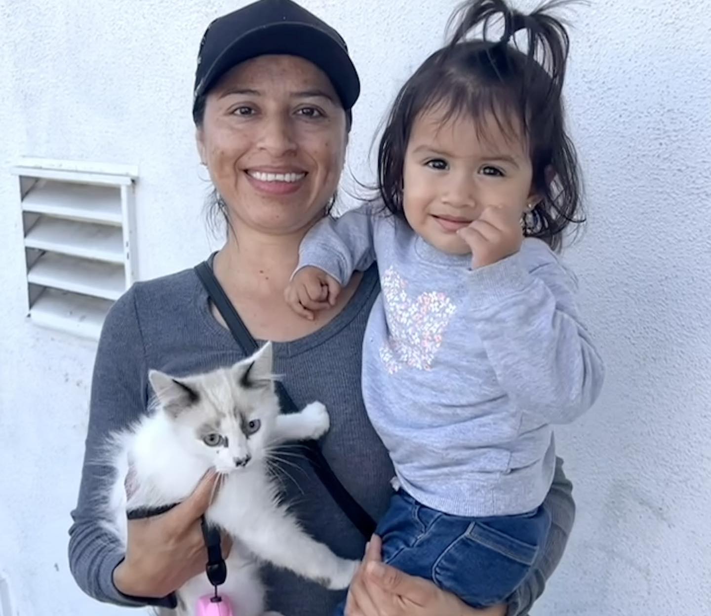 Keep Us Rolling! - C.A.R.E.4Paws