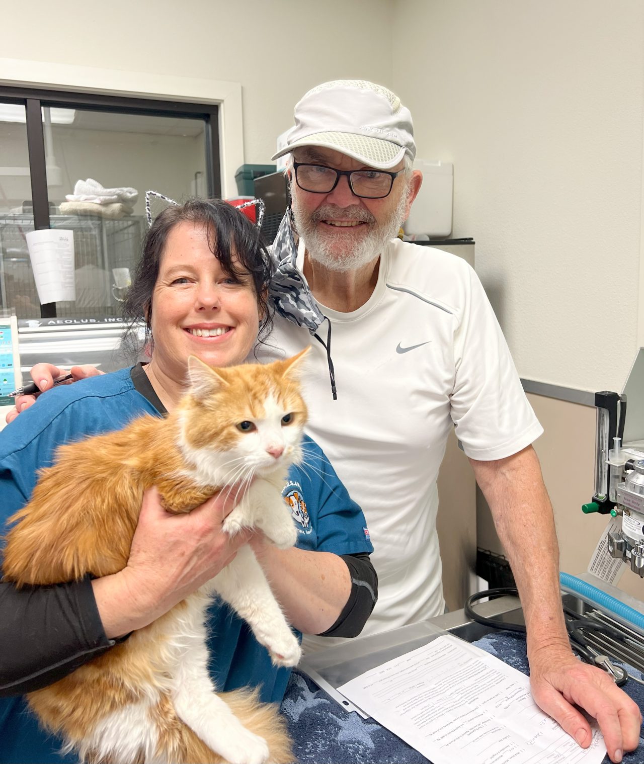 Meet Our Team! - C.A.R.E.4Paws