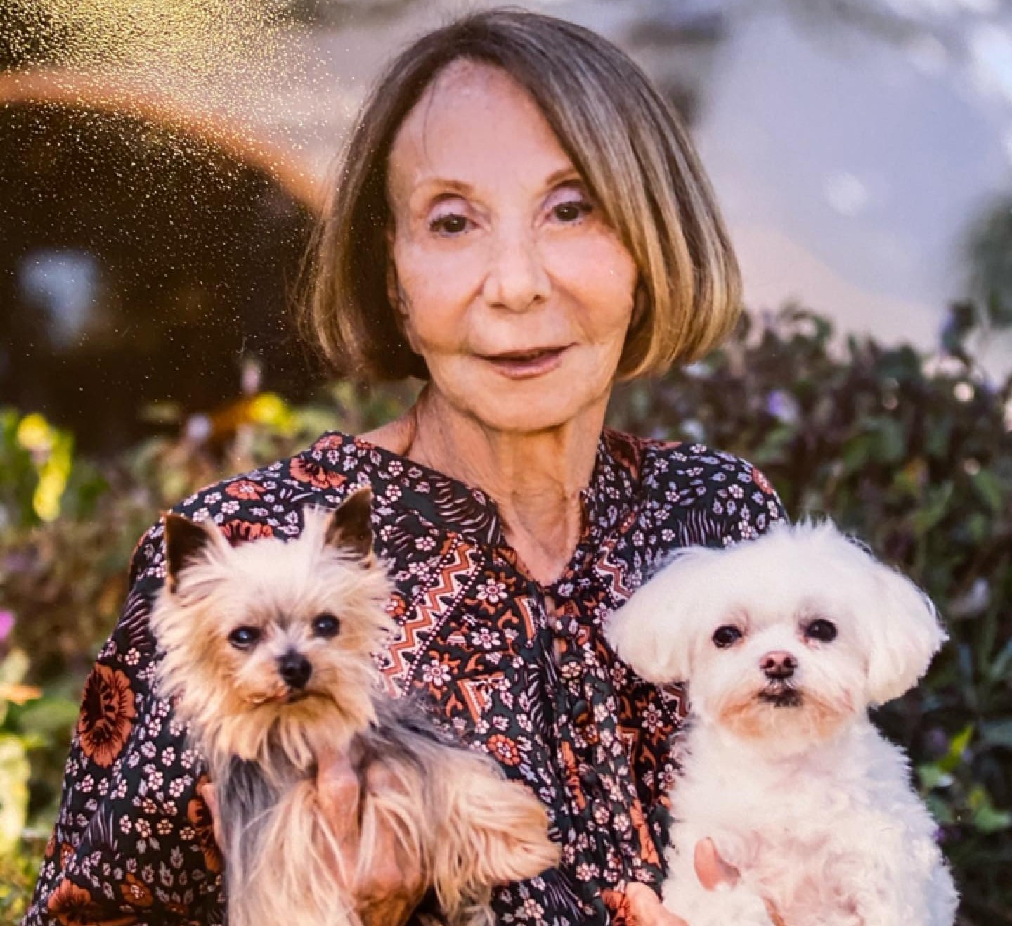 Home - C.A.R.E.4Paws