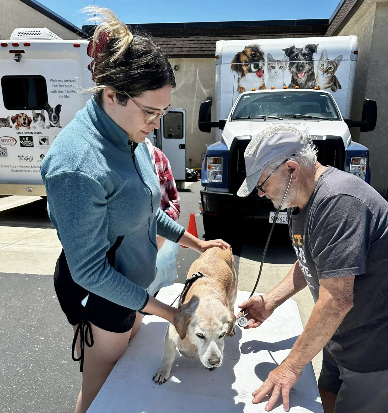 Community Medicine - C.A.R.E.4Paws