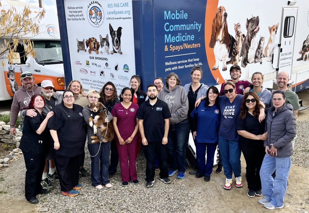Bridging the Gap: C.A.R.E.4Paws’ mission to help pets and their ...