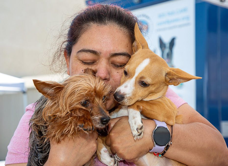 Our Mission - C.A.R.E.4Paws