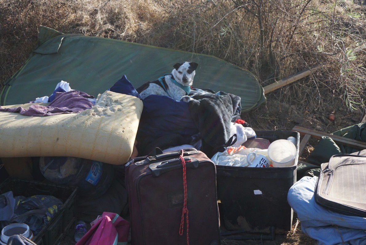 C.A.R.E.4Paws helps care for, feed pets as the Santa Maria riverbed ...
