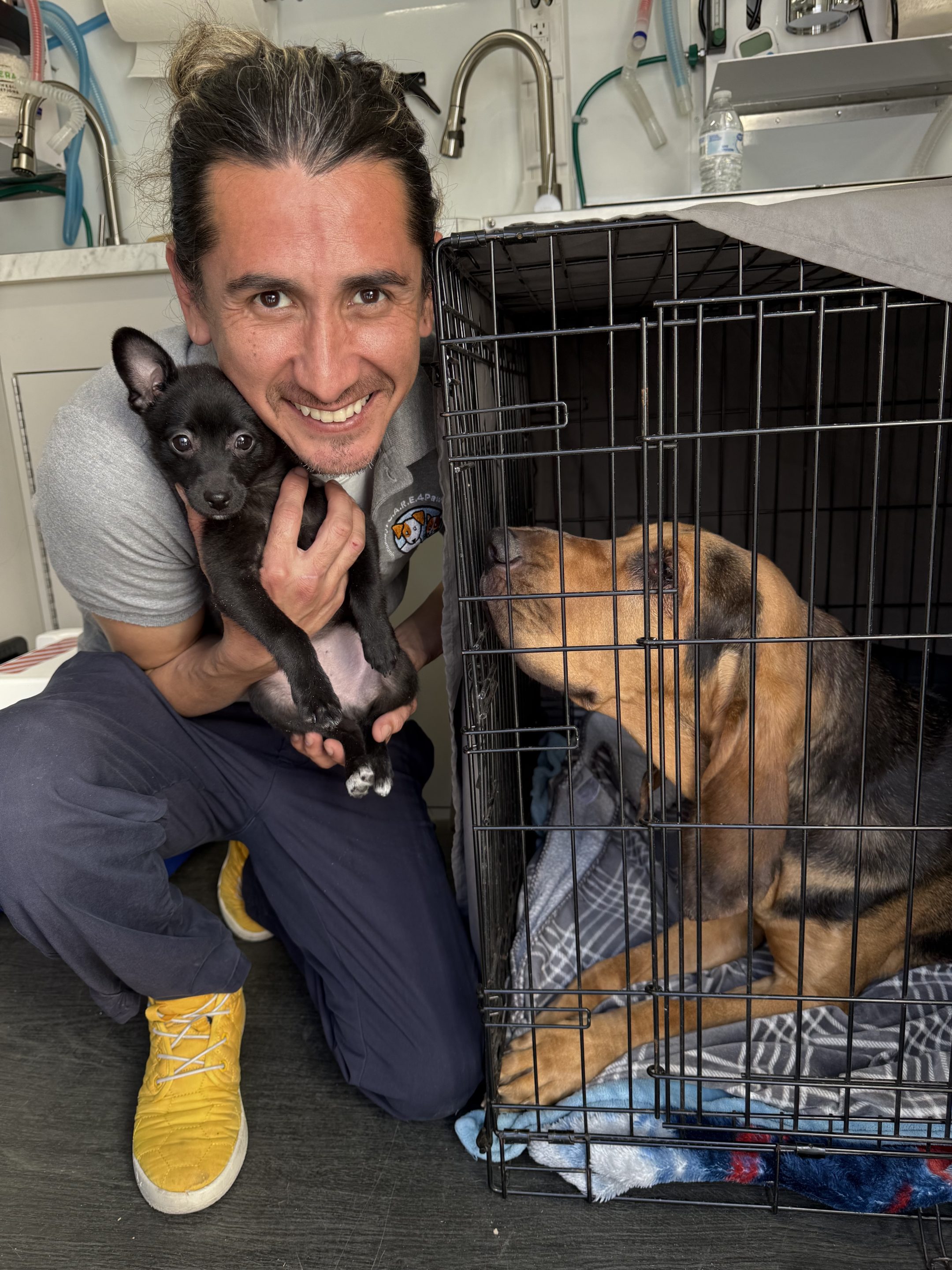 A partnership effort to rescue LA shelter pets