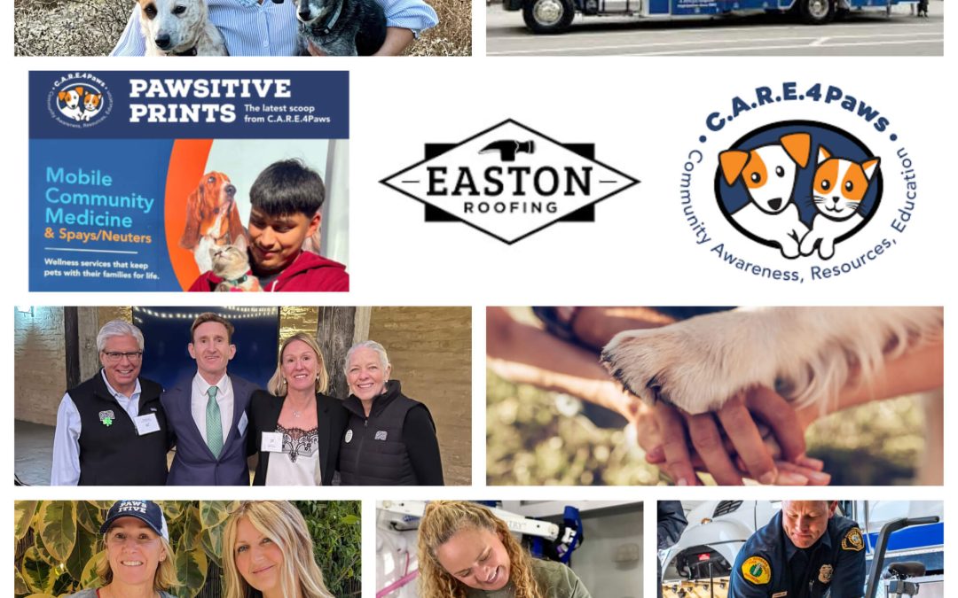 C.A.R.E.4Paws - Danny Clinkscale's Reasonably Irrelevant Podcast