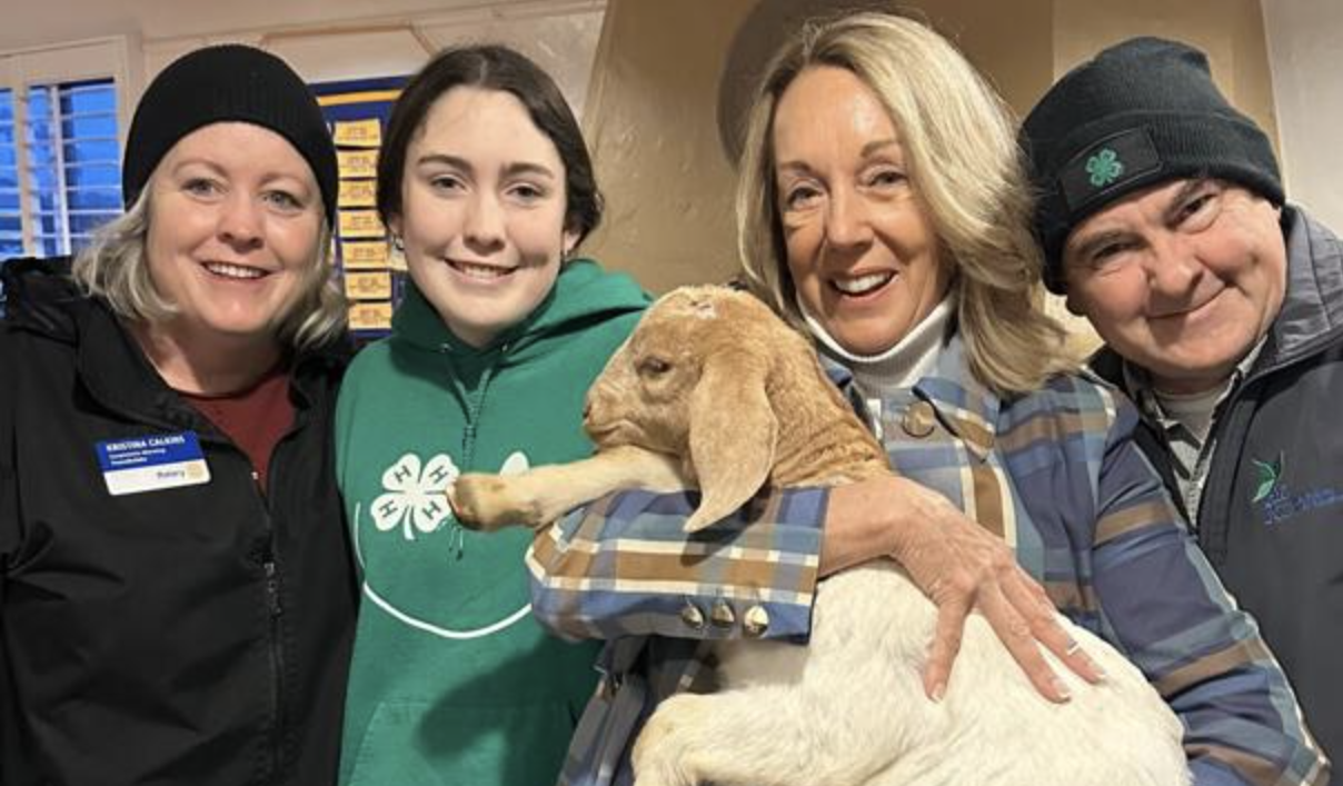Morning Rotary learns about farm animals, local support